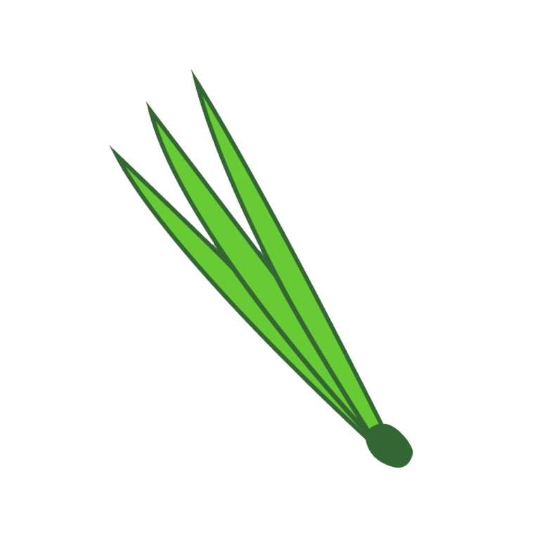 Acículas en grupos de tres - Va de Árboles