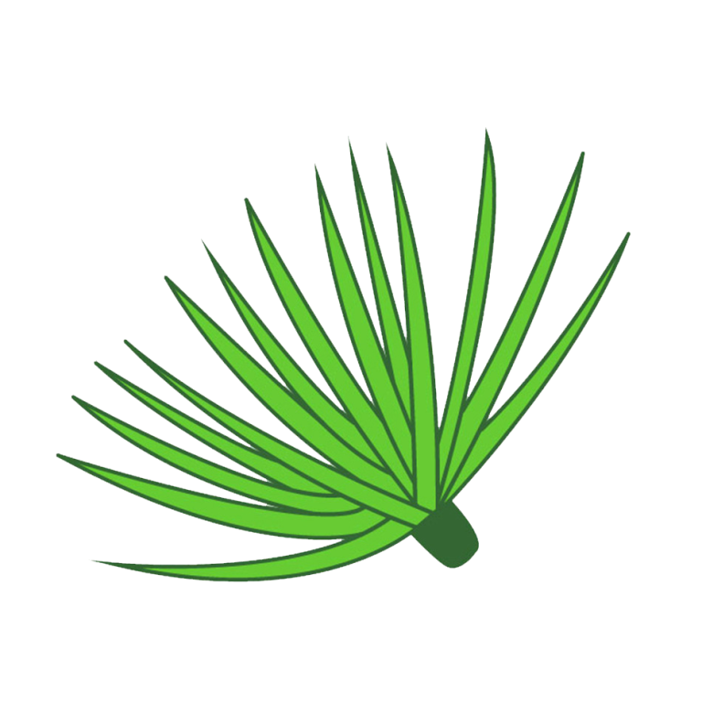 Acículas en brocha - Va de Árboles