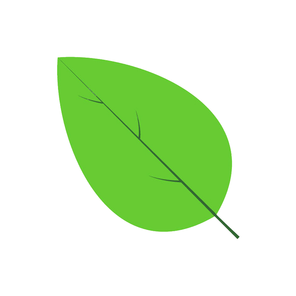 Hoja simple ovada o elíptica - Va de Árboles