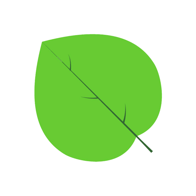 Hoja simple redondeada o acorazonada - Va de Árboles